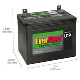 EverStart Lawn and Garden Lead Acid Battery, Group Size U1P 12 Volt ...