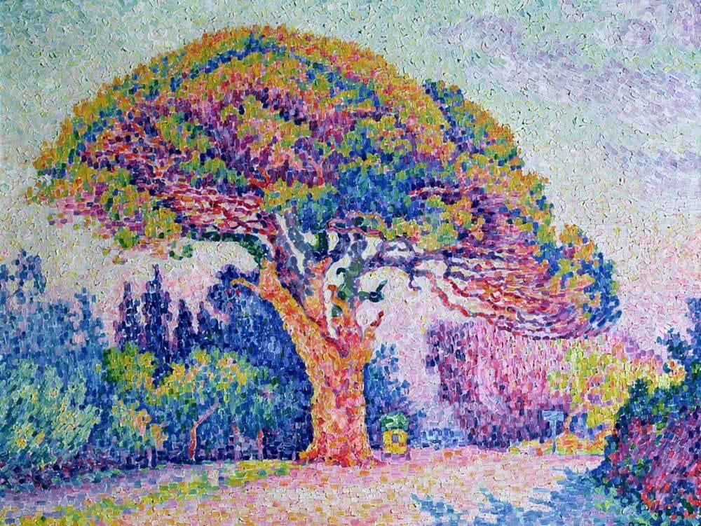 The Pine Tree at St Tropez, 1909, Unframed Giclee Print Wall Art by ...