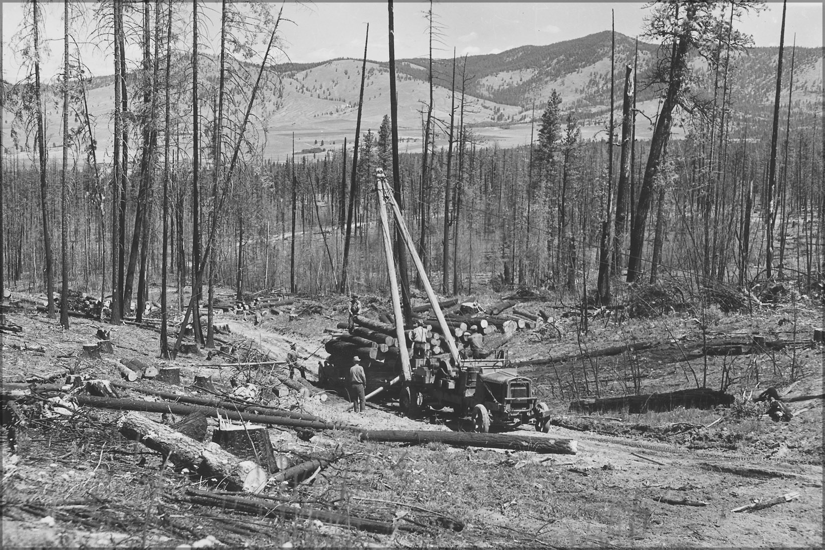 24"x36" Gallery Poster, logging on Tunk Creek NE corner Colville indian ...