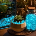 Beforeyayn Colorful Glow Seashell Decor, Luminous Sea Figurines for ...