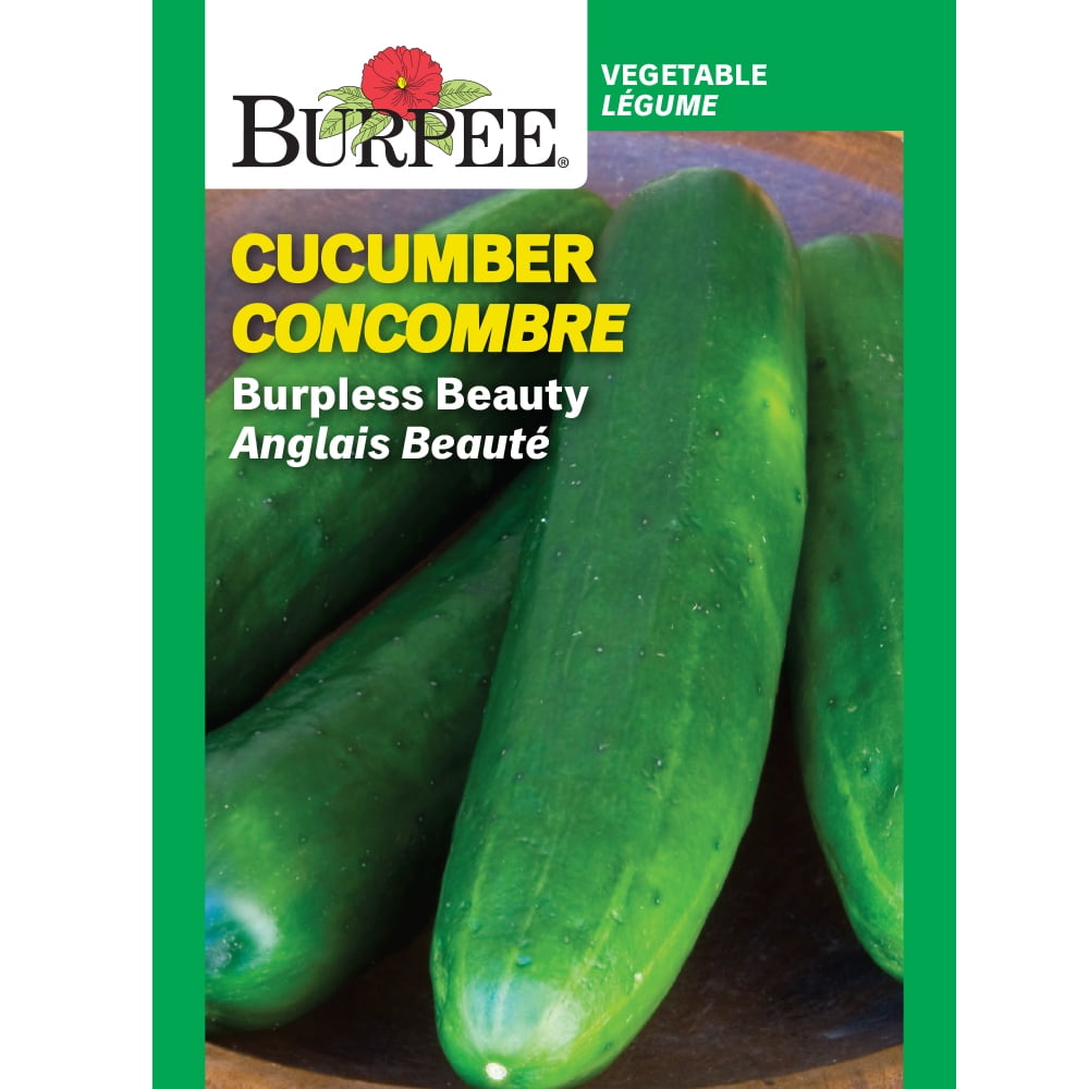 Click here for Burpee Canada Burpee Burpless Beauty Cucumber prices