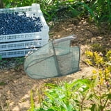 Labor Saving Fruit Picker Household Blueberry Tools Huckleberry Basket ...