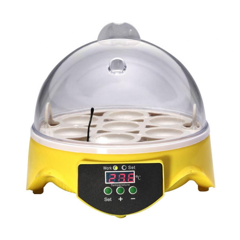 Automatic Mini Egg Incubator for Kids with Temperature Control, 7 Egg ...