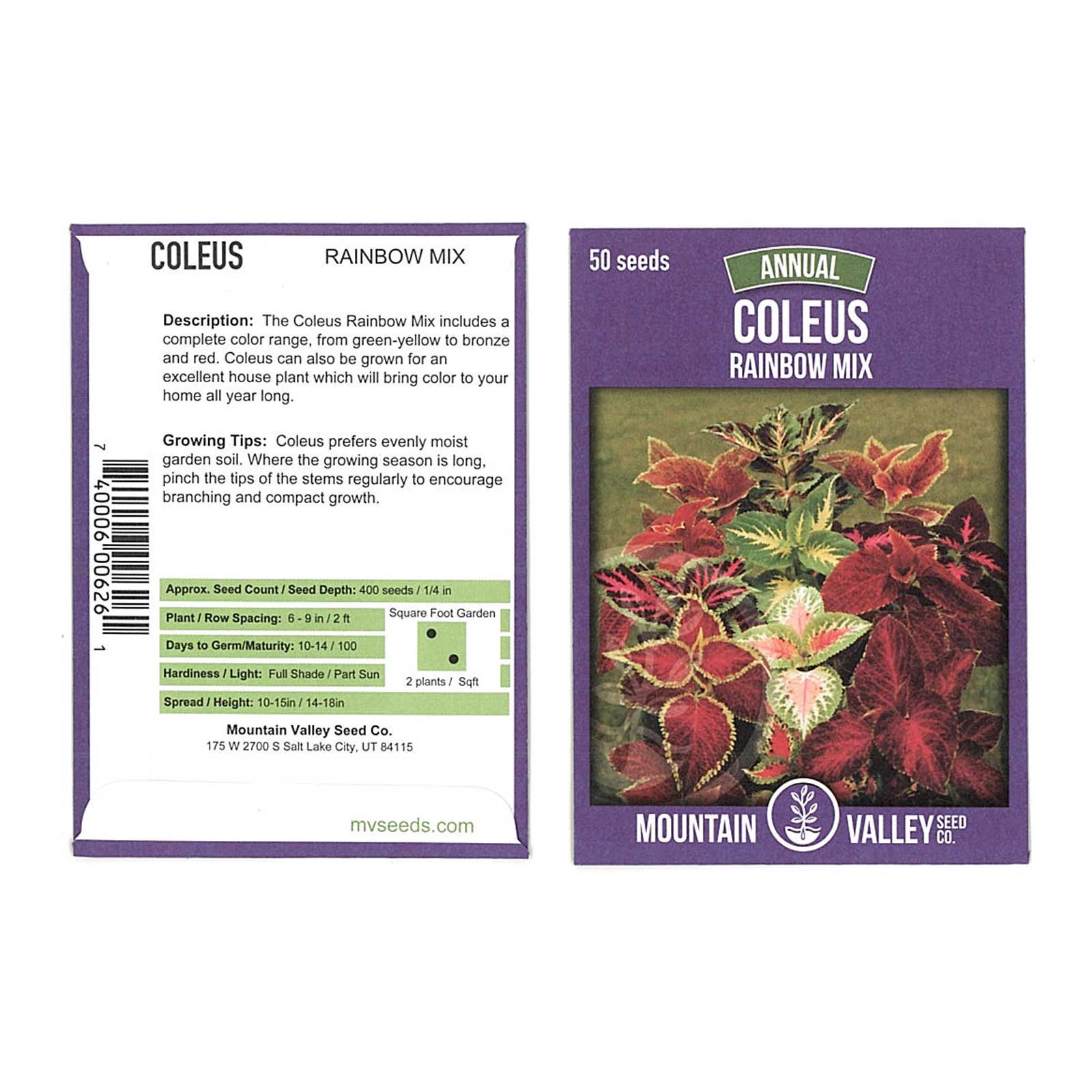 Everwilde Farms - 1000 Rainbow Mixed Coleus Garden Flower Seeds - Gold ...