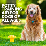 Simple Solution Dog/Puppy Outdoor Potty Training Pee Post - 13in. Stake ...