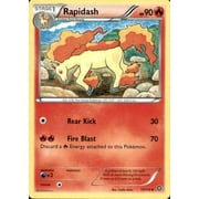 Rapidash Pokemon Card