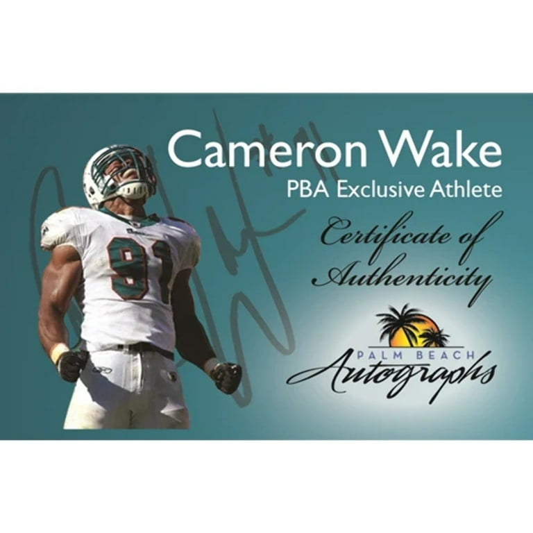 Cameron Wake Safety