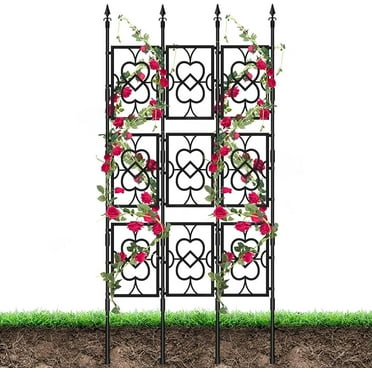 Mr. Garden Raspberry Trellis with Adjustable Arms 7-Feet Raspberry ...