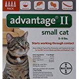 Free Shipping! Advantage Flea Control for Cats 1-9 lbs 4 Month Supply ...