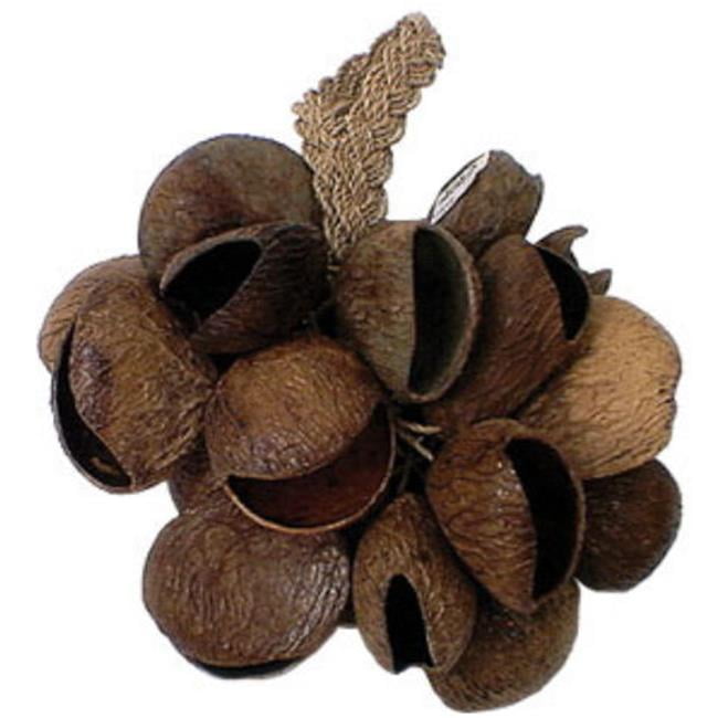 Rhythm Band Instruments SHAK14 Pangi Shell Shaker with Rope Handle ...