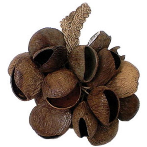 Rhythm Band Instruments SHAK14 Pangi Shell Shaker with Rope Handle ...