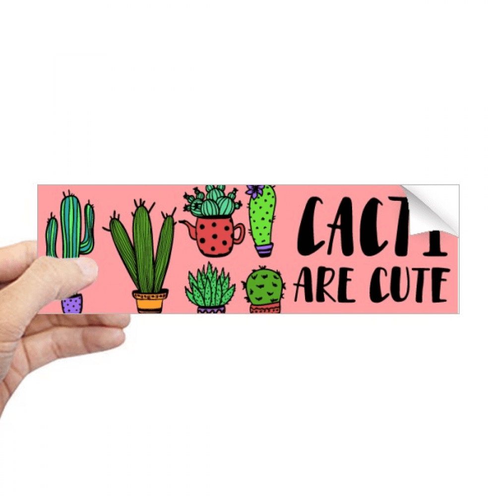 Cacti Are Cute Cactus Rectangle Bumper Sticker Notebook Window Decal ...