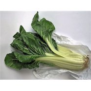 Dynamite 605910 Natural and Organic Mater Magic Plant Food, 0.675-Pound ...