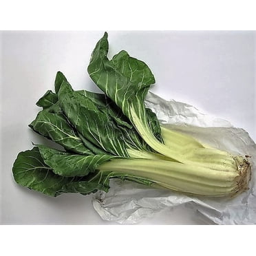 Dynamite 605910 Natural and Organic Mater Magic Plant Food, 0.675-Pound ...