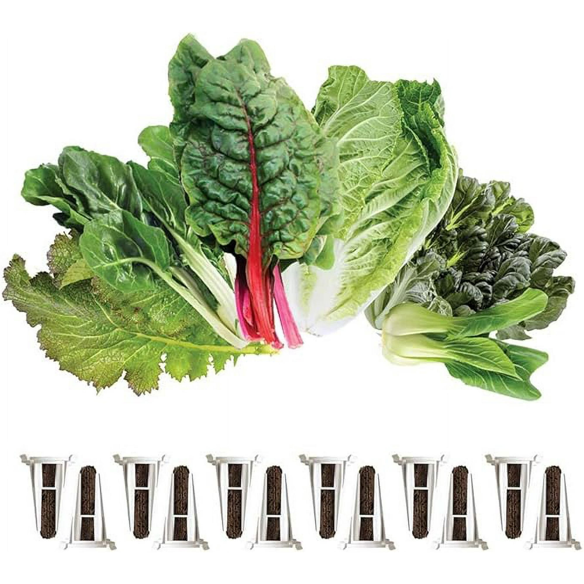 Click here for Bazz Vegehome Stir-Fry Bundle 6 Pack (12 Pods) prices