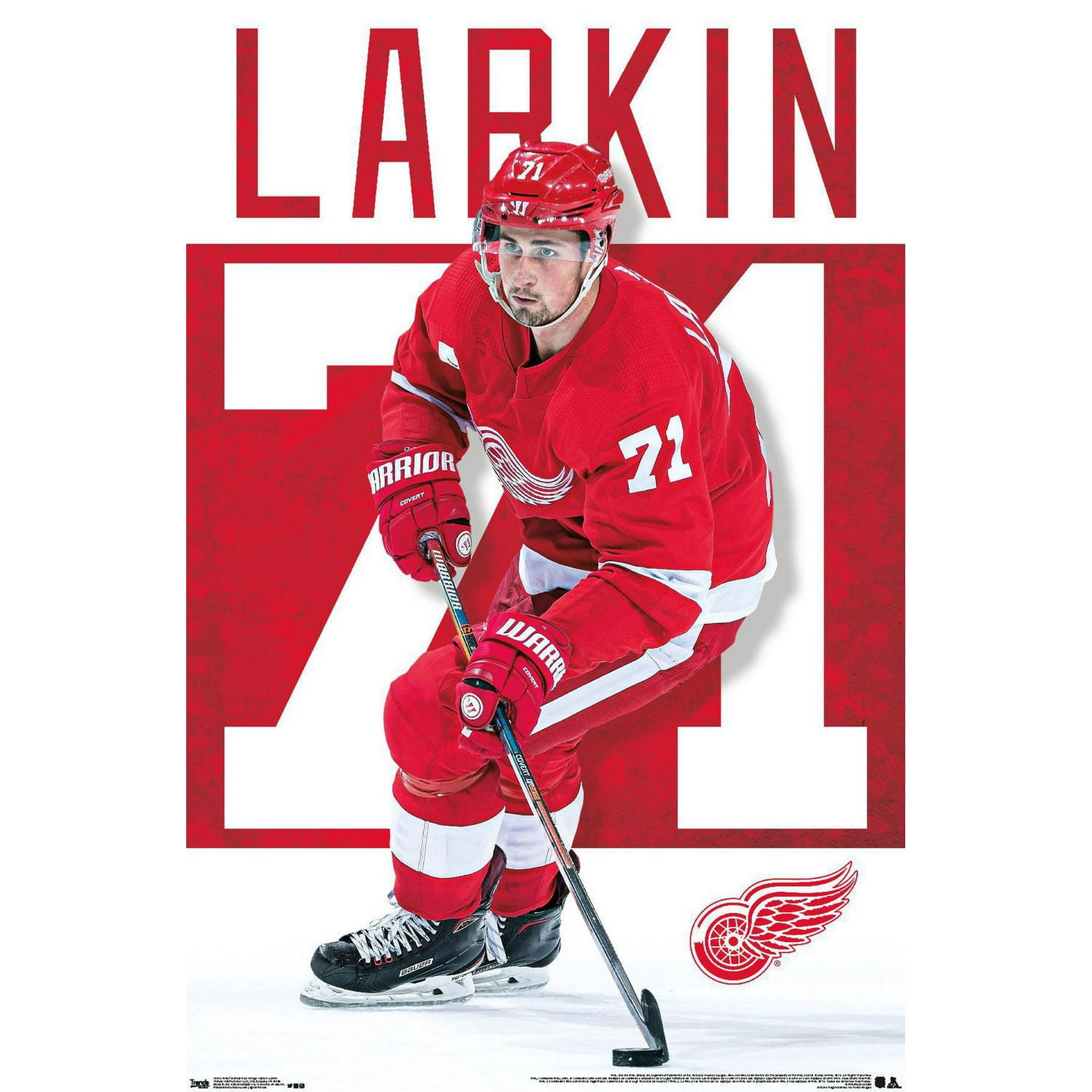 Click here for Trends International Nhl Detroit Red Wings - Dylan... prices
