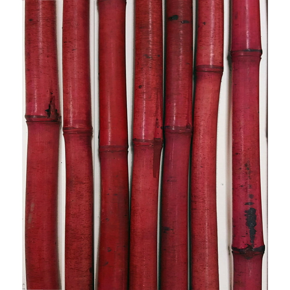 GreenFloralCrafts Decorative Bamboo Poles, 3.5 Feet Tall, Set of 8 ...