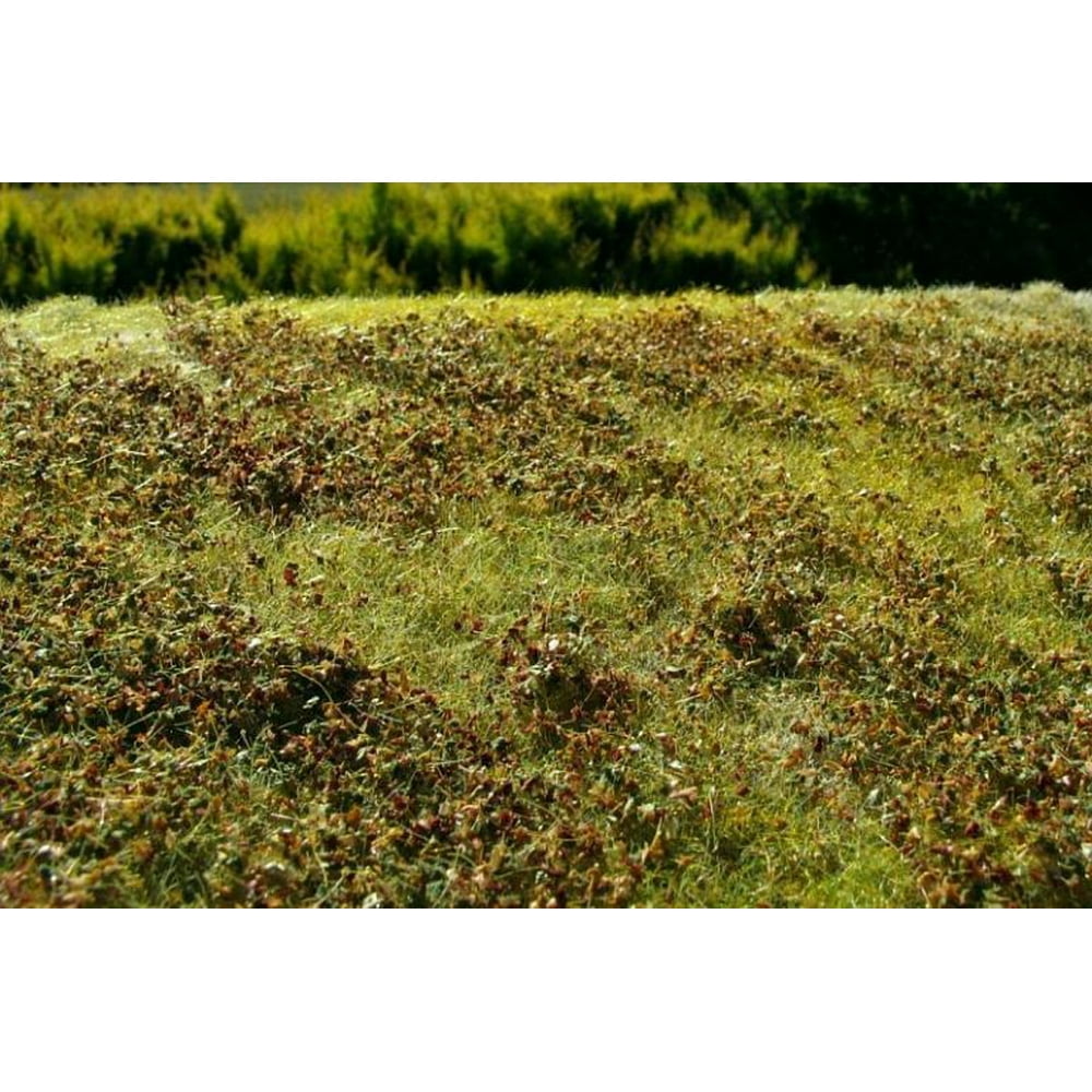 Reality In Scale 1:35 54mm Grass Mat w Low Bushes Fall Diorama ...