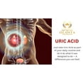 URIC ACID SUPPORT - Kidney Herbal Supplements Pills with Chanca Piedra ...