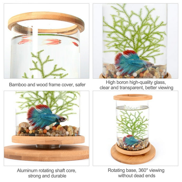 Betta Fish Bowl Bottle