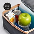 Fit & Fresh Extra Large Reusable Ice Packs for Lunch Boxes and Coolers ...