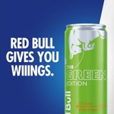 Red Bull Green Edition Energy Drink, Curuba Elderflower, 8.4 fl. oz., 6 ...