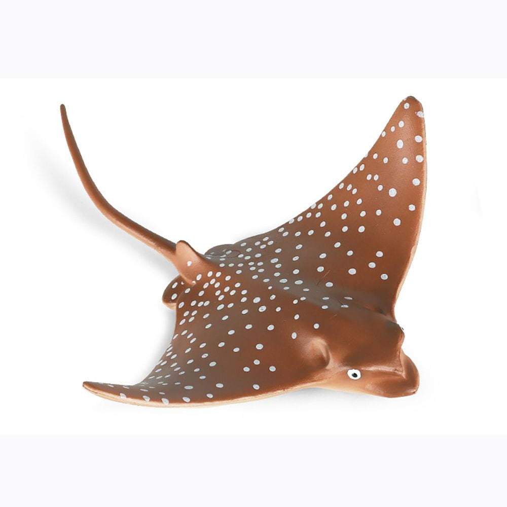 Devil Fish Ray