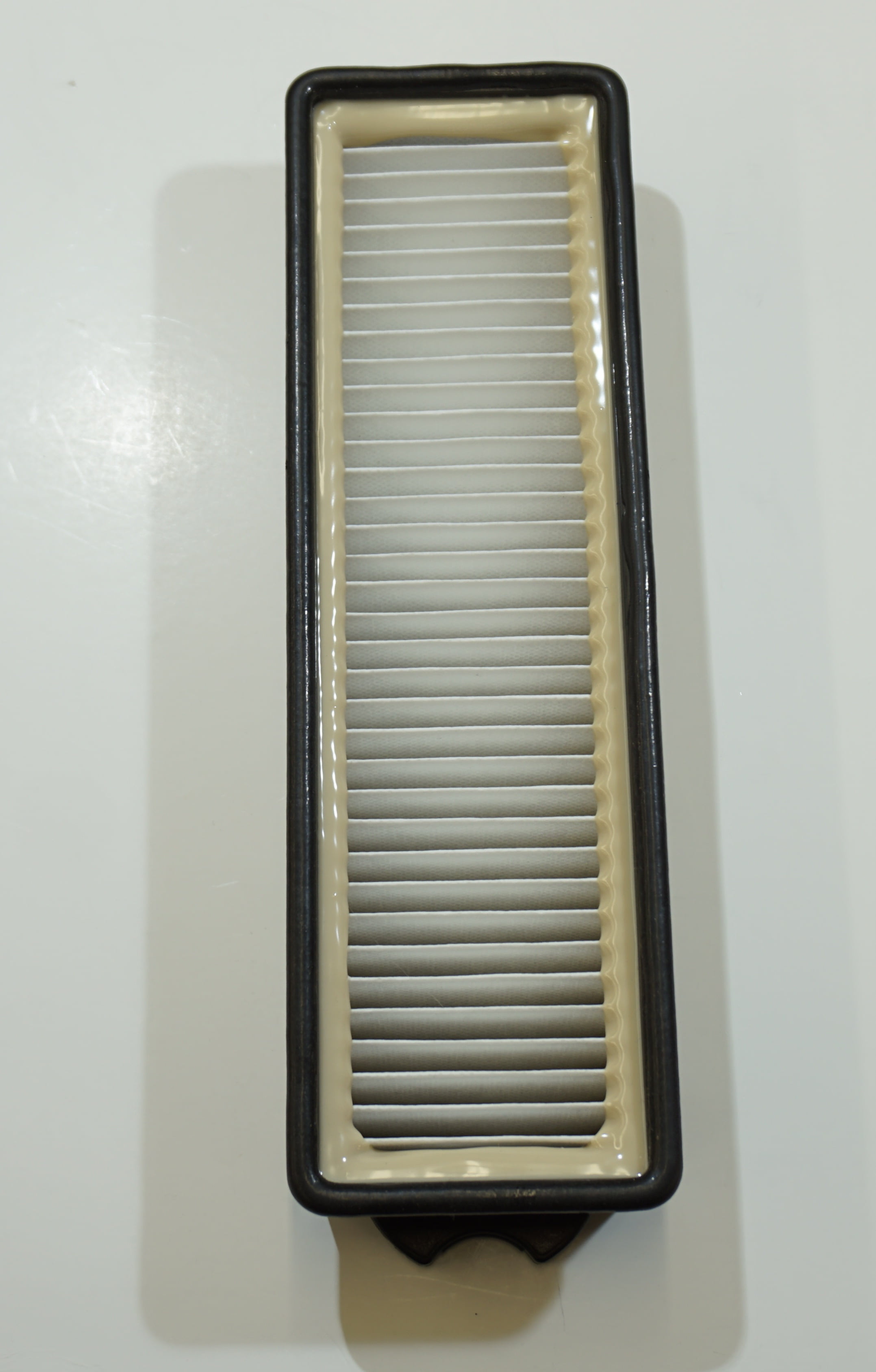 Bissell Pleated Filter for Big Green Complete, 2037083 - Walmart.com