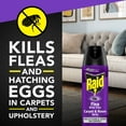 (2 pack) Raid Flea Killer Plus Carpet & Room Spray, Bug Spray Kills ...