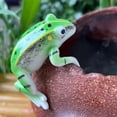 wutoase Cute Frog Figurine Planter Decoration, Small Climbing/Lying ...