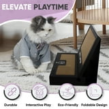 Kitty Laptop - Cat Scratchboard Laptop Toy with Interactive Plush Mouse ...