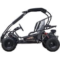 Trailmaster Mid XRX/R - Deluxe Go Kart Buggy with Reverse, Full roll ...