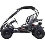Trailmaster Mid XRX/R - Deluxe Go Kart Buggy with Reverse, Full roll ...