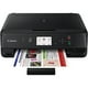 Canon, CNMTS5020, Pixma TS5020 Wireless All-in-One Printer, 1 Each ...