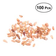 6 Chestnut Tree Seeds for Planting - Walmart.com