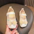 Cute Square Toe Flat Bottom Princess Shoes Girls Princess Shoes ...