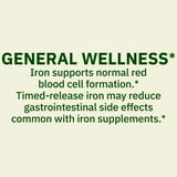 Spring Valley Slow Release Iron General Health & Wellness Dietary ...