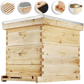 40-Frame Size Beekeeping Kit Bee Hive House Frame Beehive 20 Deep 20 ...