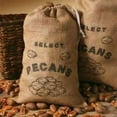Mascot Pecan Since 1955 Milk Chocolate Covered Pecans Gift Tin Packed ...