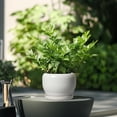 Ordivic 6 inch Glossy White Ceramic Planter with Saucer & Drainage Hole ...