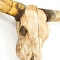 Wall Decor TEXAS Horn Skull Animal Long Polyresin New ZT-1726 - Walmart.com