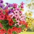 12 6 Color Daisy Artificial Flowers Outdoor Indoor Home Decor - Walmart.com