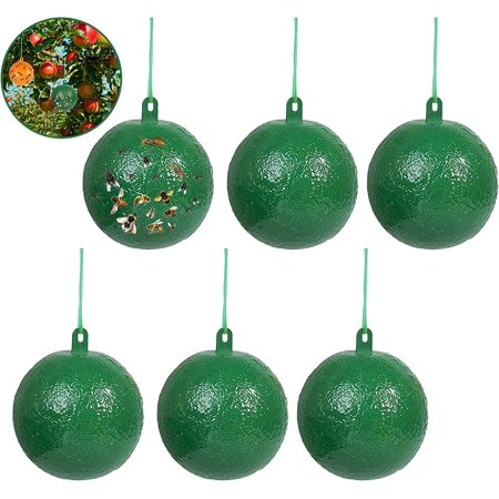 DJKET 6Pcs(Green)Fruit Fly Trap, Flying Insect Traps, Hanging Fly Trap ...