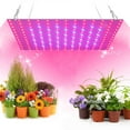 IKOMMI 1000/2000W LED Grow Light with Thermometer and Humidity Monitor ...