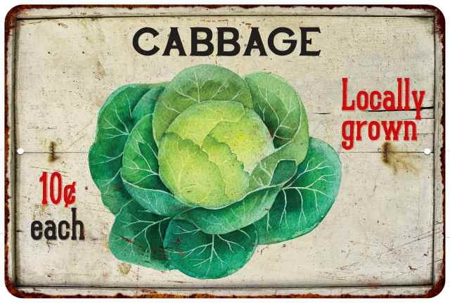 Fresh Cabbage Vintage Look Chic Distressed 12 x 18 Matte Finish Metal ...