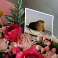 3drose, Norway, Svalbard, Edgeoya Island, Walrus Wildlife - Eu21 ...