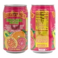 Hawaiian Sun Drinks, All Flavors, 1 Can per Flavor, Total 16 Cans ...