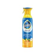 Sponge Odor-Absorber Neutral, 16 oz - Walmart.com