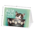 Current CATtitude All Occasion Greeting Cards Value Pack - Set of 20, 5 ...
