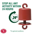 (2 pack) Perky-Pet Ant Guard Plus for Hummingbird Feeders, Red, Prevent ...